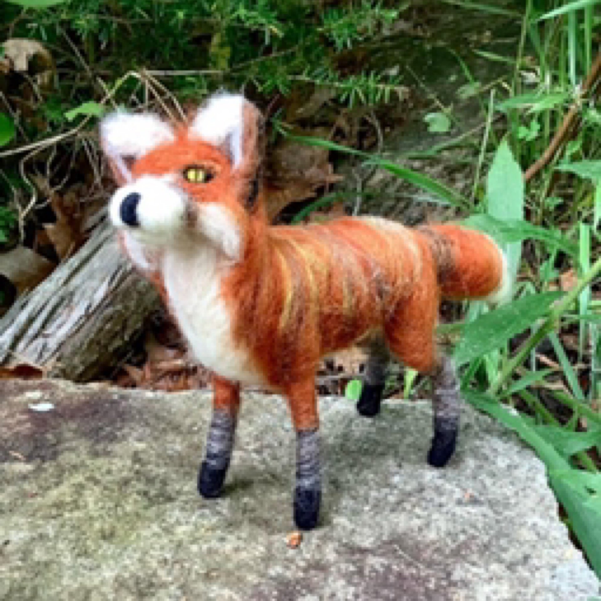 Fox | Fun Frolic Farm
